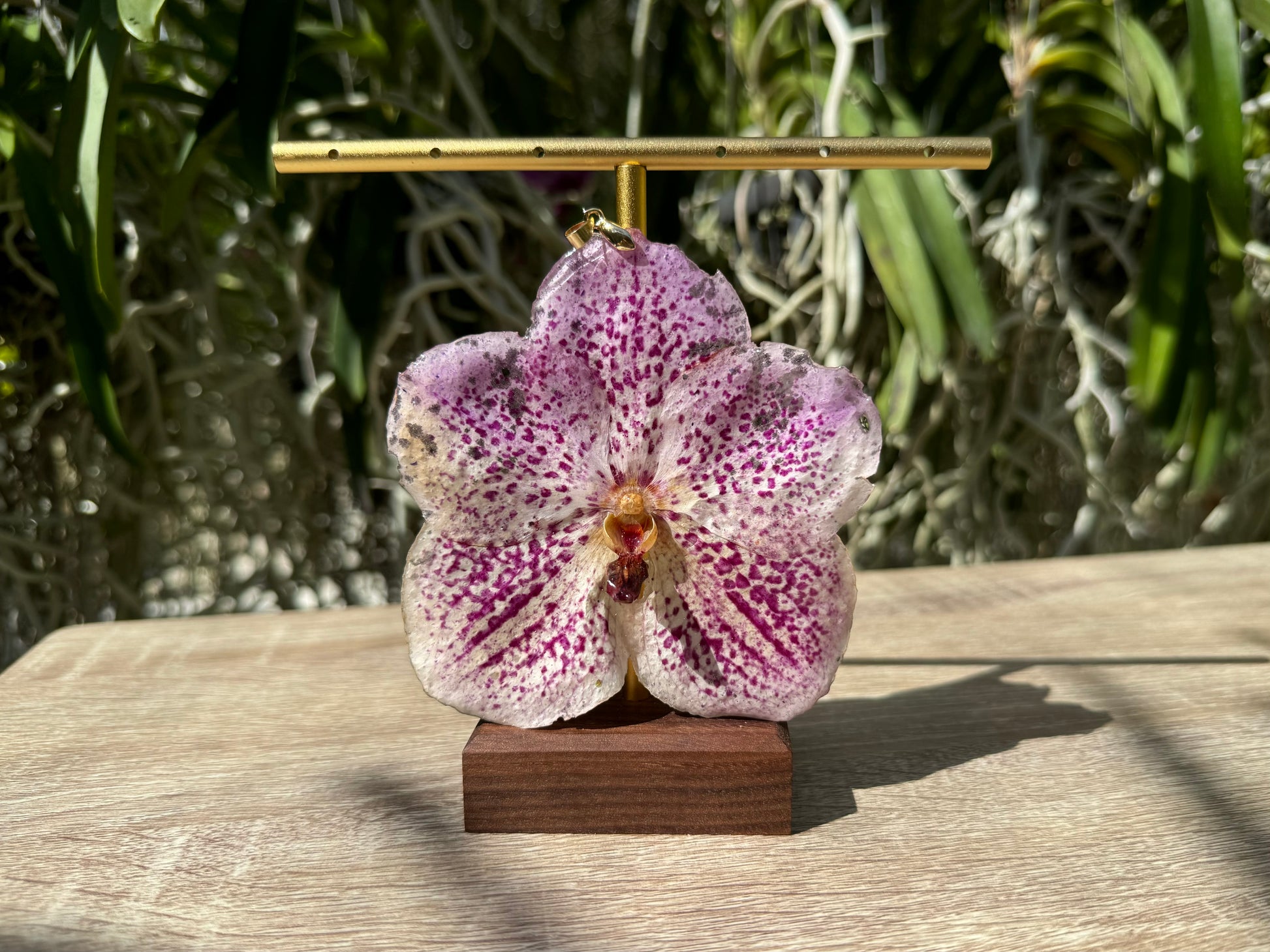 Light Pink Vanda Orchid Pendant – Vanda Veranda